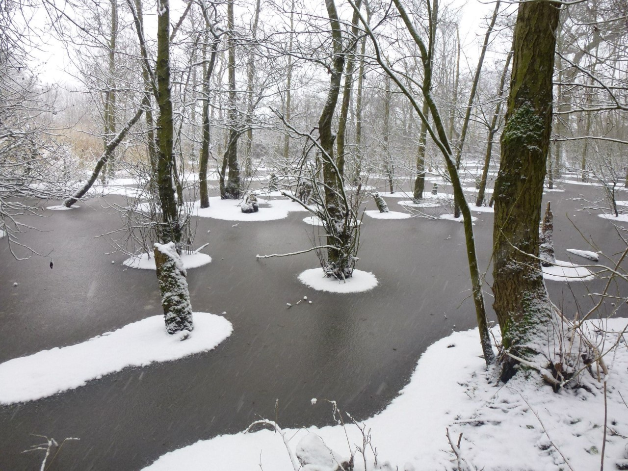 Peel Hall - a haven for nature and wildlife - CPRE Cheshire